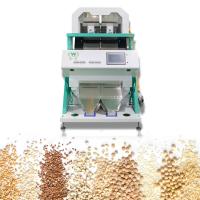 China Wenyao Auto Dehydrated Vegetable Sorting Machine 2 Chutes Optical for sale
