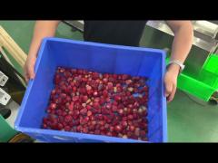 Gevriesde gedroogde verse gesneden vruchten aardbei Cranberry Separator CCD Camera Kleur sorteren machine