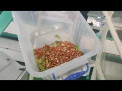 Wenyao Infrared CCD Camera Grain Color Sorting Machine Optical Peanut Maize Color Sorter
