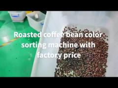 ウェンヤオ 格安 グリーンコーヒー豆 カラーソート ミニ ローストした生コーヒー カラーソート
