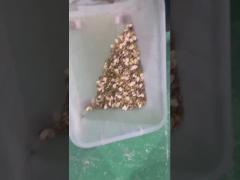 Máquina de triagem óptica de frutas secas de alto rendimento Wenyao Peixe seco Prunas figas Colour sorter para a indústria de processamento de frutas