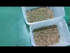 Wenyao Full Automatic 3 Chute Soya Bean Broad Bean Kidney Bean Color Sorter Machine