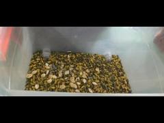 Κίνα Κορυφαία ποιότητα ζώνη Οπτική Pistachio Color Sorter Διαχωρισμός των πυρήνων και το κέλυφος Pistachio