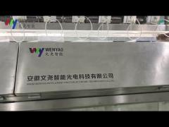 Weanyao 10 Chute Large Capacity 304 316 Stainless Steel Intelligent Color Sorter Machine for Salt