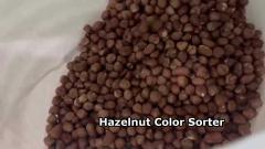 WYCS2-128 Hazelnut Color Sorter | Premium Nut Sorting Machine for Georgia Market