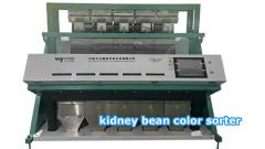 Kidney Bean Color Sorter