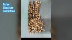 Chestnut Color Sorter For Nuts