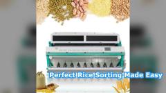 WENYAO Intelligent Rice Color Sorter High Output Efficiency