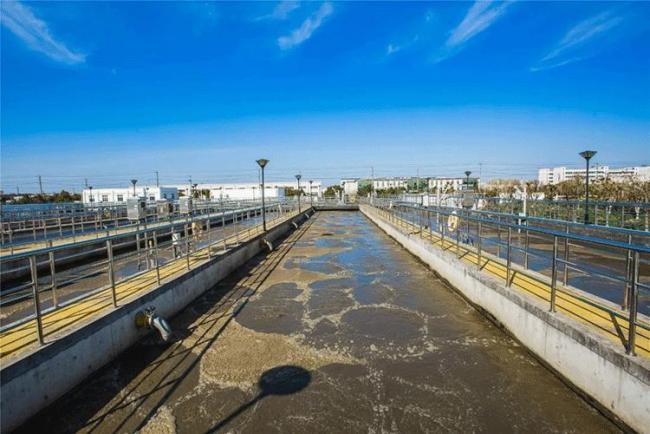 Fast Delivery Cationic Anionic Nonionic Polyacrylamide Flocculant CPAM Polymer for Sludge Dewatering