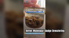 Efficient Municipal Sludge Dewatering with Cationic Polymer