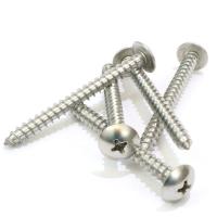 China Flat Head Self Tapping Thread or Machine Thread Stainless 304 Carbon Steel Screws for sale