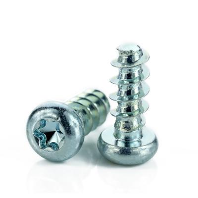 중국 미트릭 사용자 지정 WN1412 탄소 강철 금속 접착 Torx Recess PT 스타일 스레드 형식 플라스틱 나사 판매용