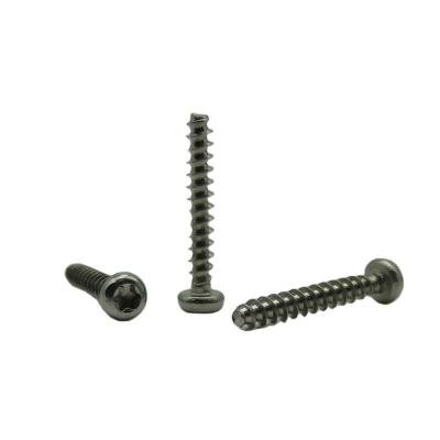 Panhead Torx 304 roestvrij staal PT zelf-oppen schroef PB3 * 20 op maat