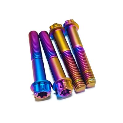 Cina Oem Titanio bullone M5 M6 M8 M10 Gr5 Titanio bulloni per motociclette in vendita
