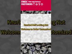 Industrie des aliments et des boissons DIN Standard Blanc Zinc Flange Noix du pouce avec conception personnalisée