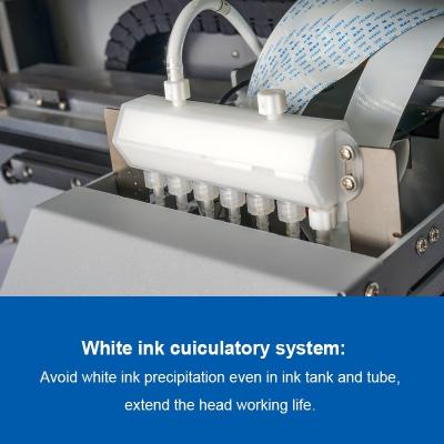 Cina Stampa DTF a colori di 60 cm con polverizzatore e due o tre teste di stampa i1600 o i3200 in vendita