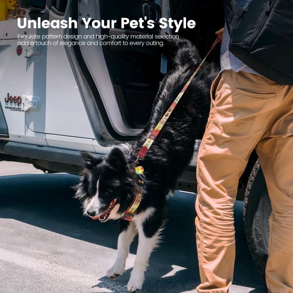 Quality Durable Custom Printed Dog Leash with Animal Pattern for sale