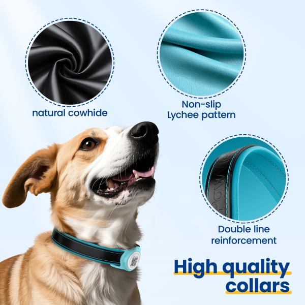 Quality Custom Luxury Dog Collar Leather Waterproof Personalized Design for sale
