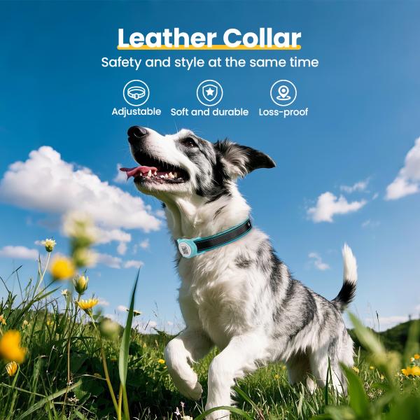 Quality Custom Luxury Dog Collar Leather Waterproof Personalized Design for sale