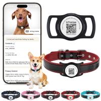 Quality Customized Leather Dog Collar Reflective Luxury Halloween Design for sale