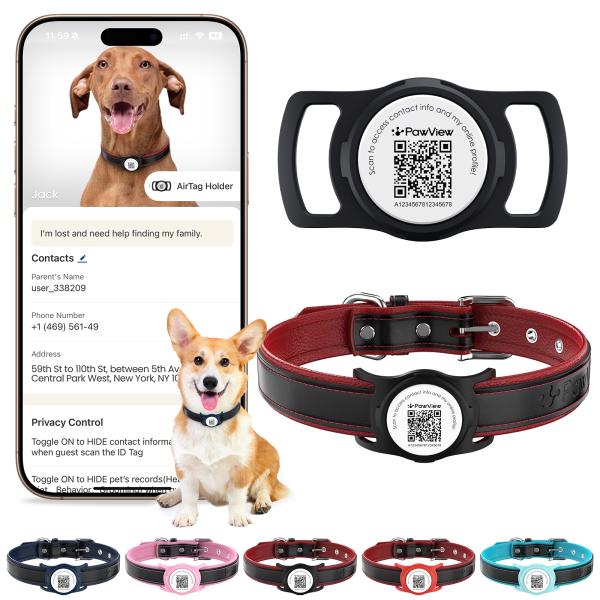 Quality Customized Leather Dog Collar Reflective Luxury Halloween Design for sale