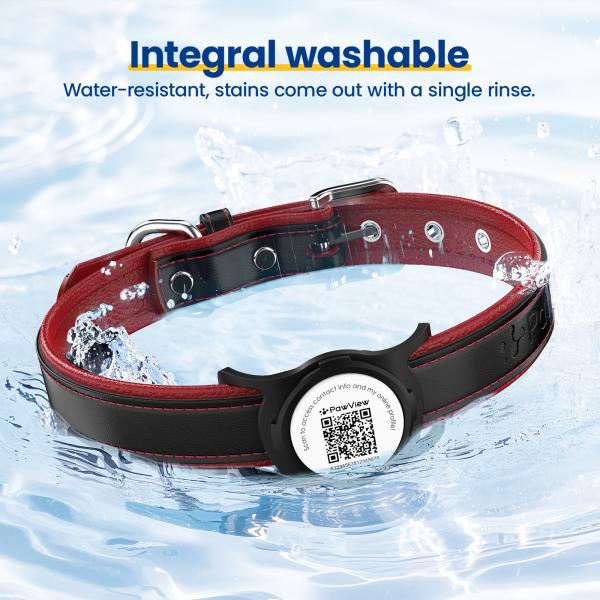 Quality Customized Leather Dog Collar Reflective Luxury Halloween Design for sale