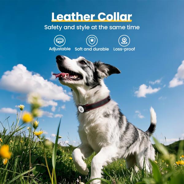 Quality Customized Leather Dog Collar Reflective Luxury Halloween Design for sale