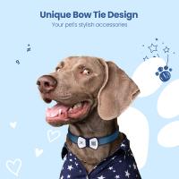 China Pawview Silicone Pet Dog ID Tag with QR NFC Code for sale