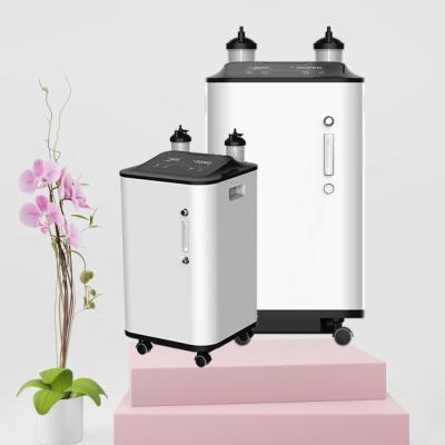 Cina Terapia fisica 1 - concentratore dell'ossigeno 10L con il nebulizzatore e lo schermo del LED in vendita