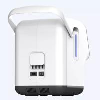 China 10 Liter Portable Oxygen Concentrator 220 Volt With Atomization And Timing Function for sale