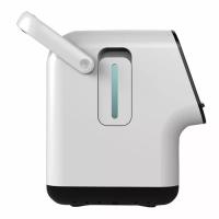 China 10 Liter Portable Oxygen Concentrator 220 Volt With Atomization And Timing Function for sale