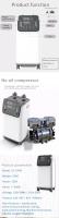 China Dual Flow Mobile Oxygen O2 Concentrator Machine 10 L for sale