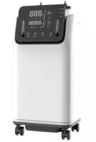 China Dual Flow Mobile Oxygen O2 Concentrator Machine 10 L for sale