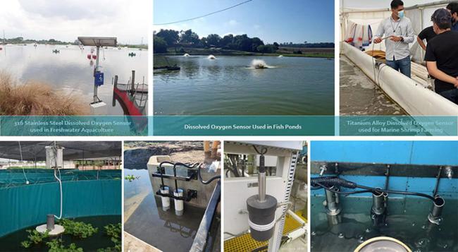 Dissolve Oxygen DO Measurement Sensor