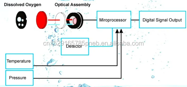 do sensor