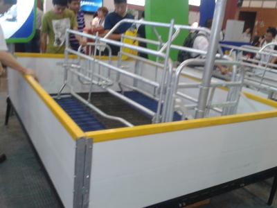 Cina 1 m a 11,6 m di lunghezza Trave di supporto in GFRP resistente per pavimenti a crate per la fecondazione di suini in vendita
