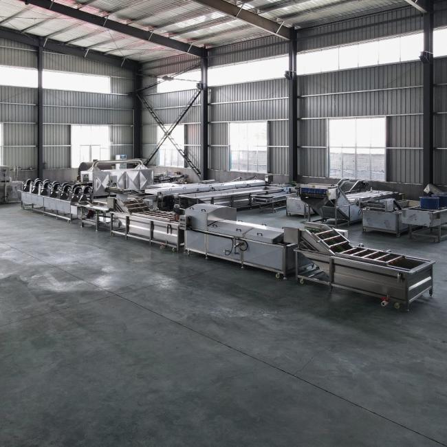 Automatic Industrial Vegetable Washing Machine for Bulk Processing