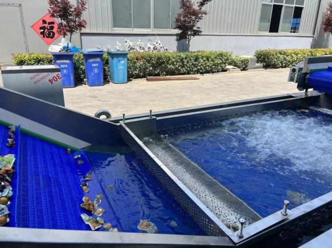 Spinach Vegetable Cleaner Cleaning Machine Ozone Bubbles Fruit Washer Machine Industrial Fruit Leaf Vegetable Washing Machine