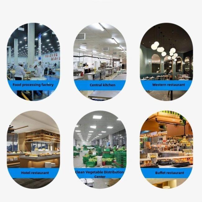 Sausage Stuffing Equipment with Robust Design for Durability Sausage Tying Machine