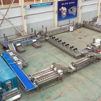 China Automatic Potato Processing Equipment with and Customized Processing Technology for sale