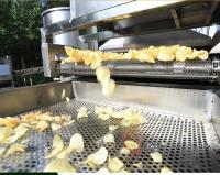 China Customized Potato Chips Machine Thermal Processing 304 Stainless Steel Material for sale