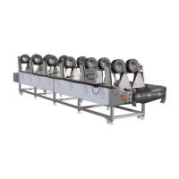 China 1500kg/H Capacity Automatic Fruit and Vegetable Processing Machine for Production for sale