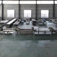 China Customizable Industrial Fruit and Vegetable Washing Machine for Large-Scale Processing for sale