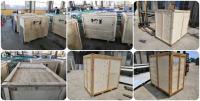 China 304 Stainless Steel Industrial Usage Automatic Vegetable and Fruit Processing Machine for sale