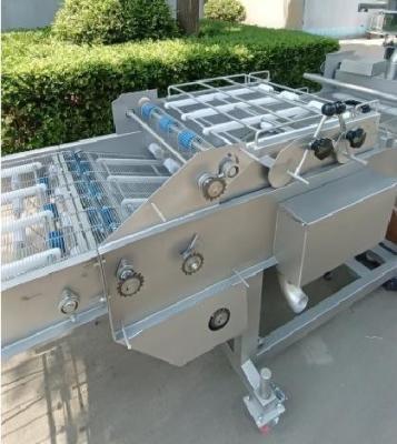 China Verwerkingsmachine voor de thermische verwerking van vlees, schelpen en zeevruchten Te koop