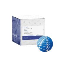 China Genetic Testing NGS Library Quantification Kit 500 Tests One Step RT PCR Kit for sale