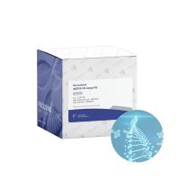 China Sequencing DNA Quantitation Kit 2000 Tests Nucleic Acid Test Kit for sale