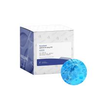 China Serum NGS Library Quantification Kit 500 Tests RT PCR Detection Kit for sale