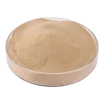 China Animal Feed Amino Acid Powder Fully Water Soluble for sale