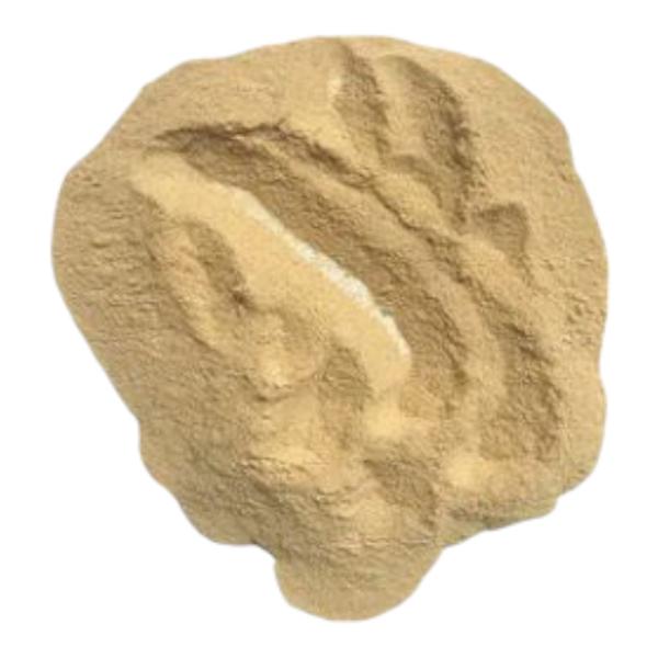 Quality Fully Soluble Yeast Cell Wall Promotes Photosynthesis Foliar Spraying Biological for sale